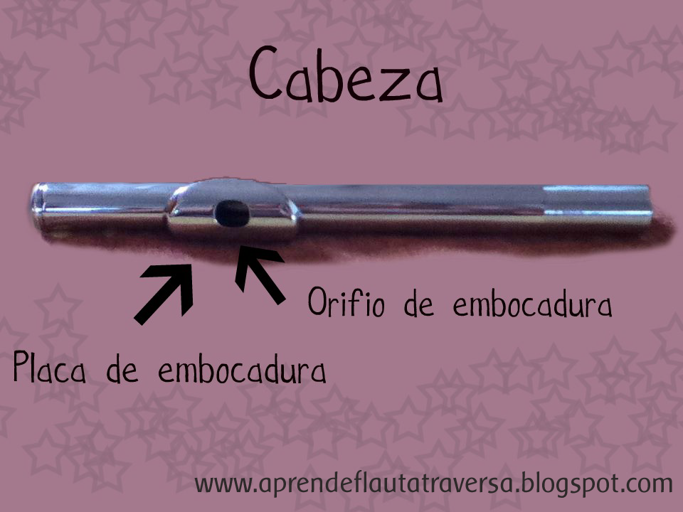 Flauta Traversa: Partes y Posición de los dedos en flauta traversa