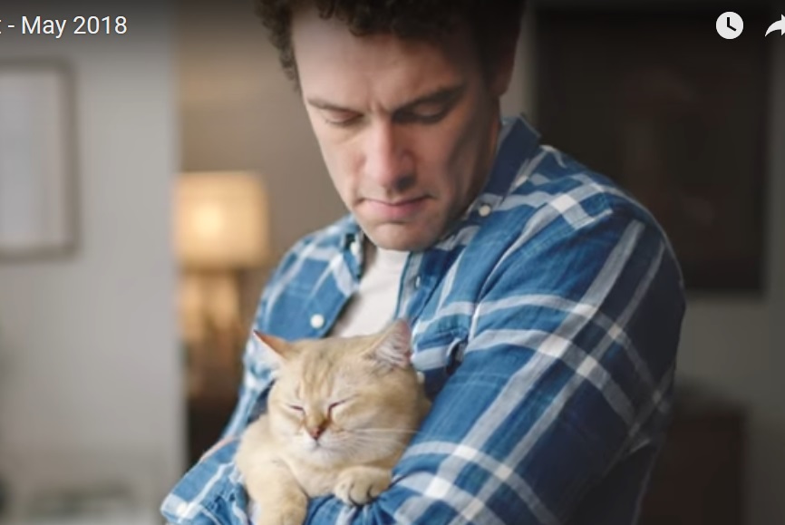 Narrative Code: Vets4Pets: Best Start in Life. TV Advert (2018)