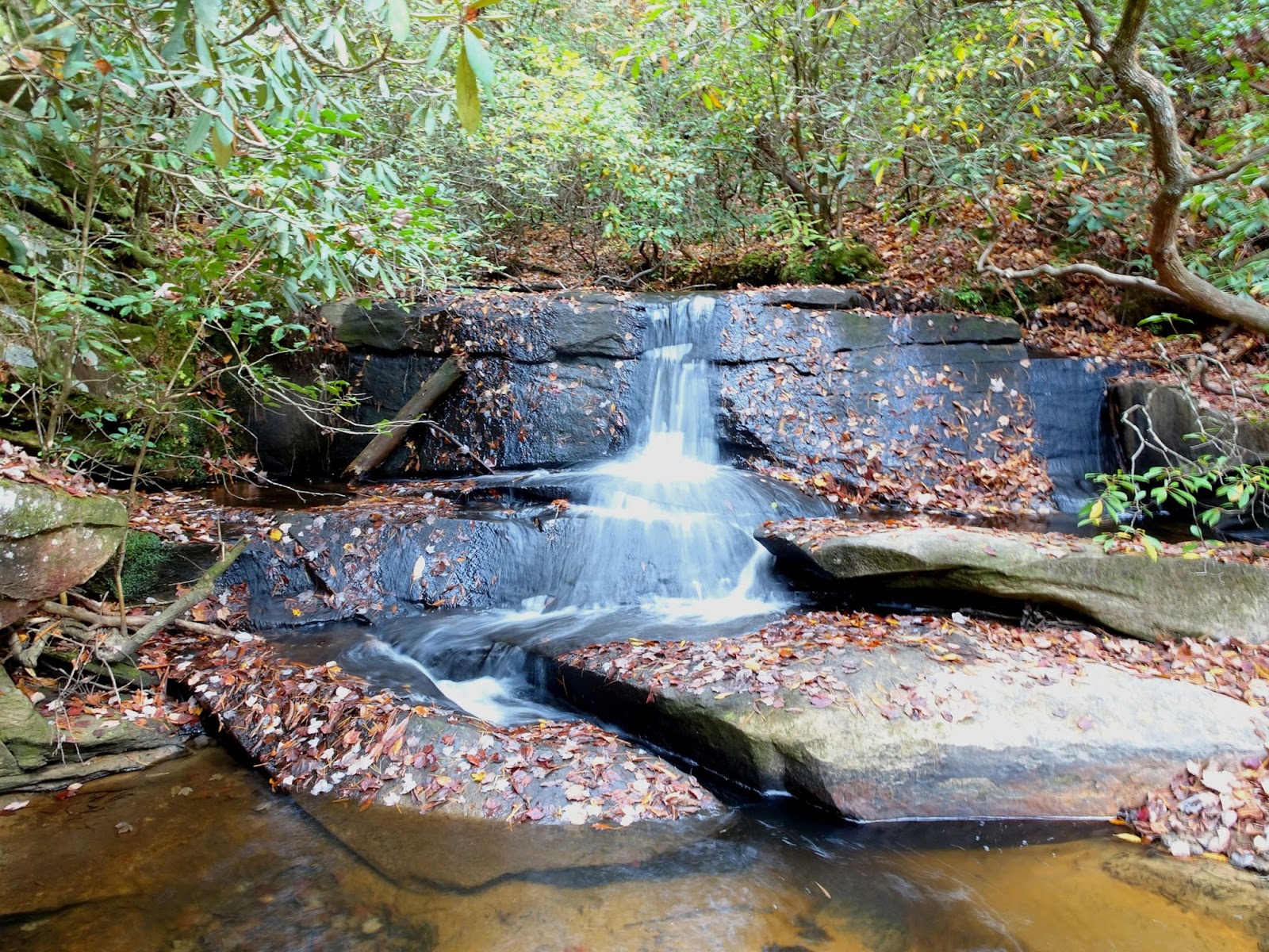 Femme au foyer: Keowee Toxaway and Natural Bridge Trail