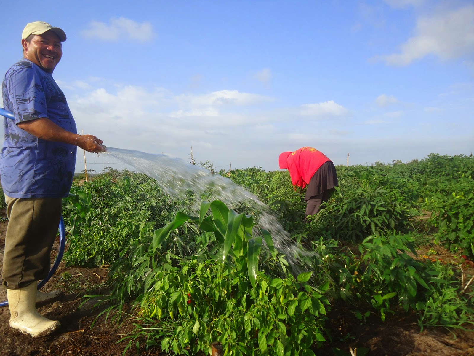 A CONQUISTA É DE TODOS!: COMSEA e CAISAN de Paço do Lumiar realizam 1ª ...