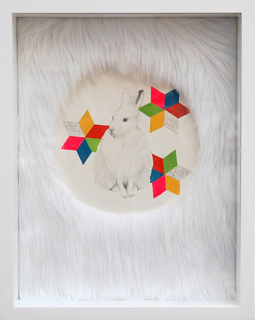 My Owl Barn: 2011-11-20