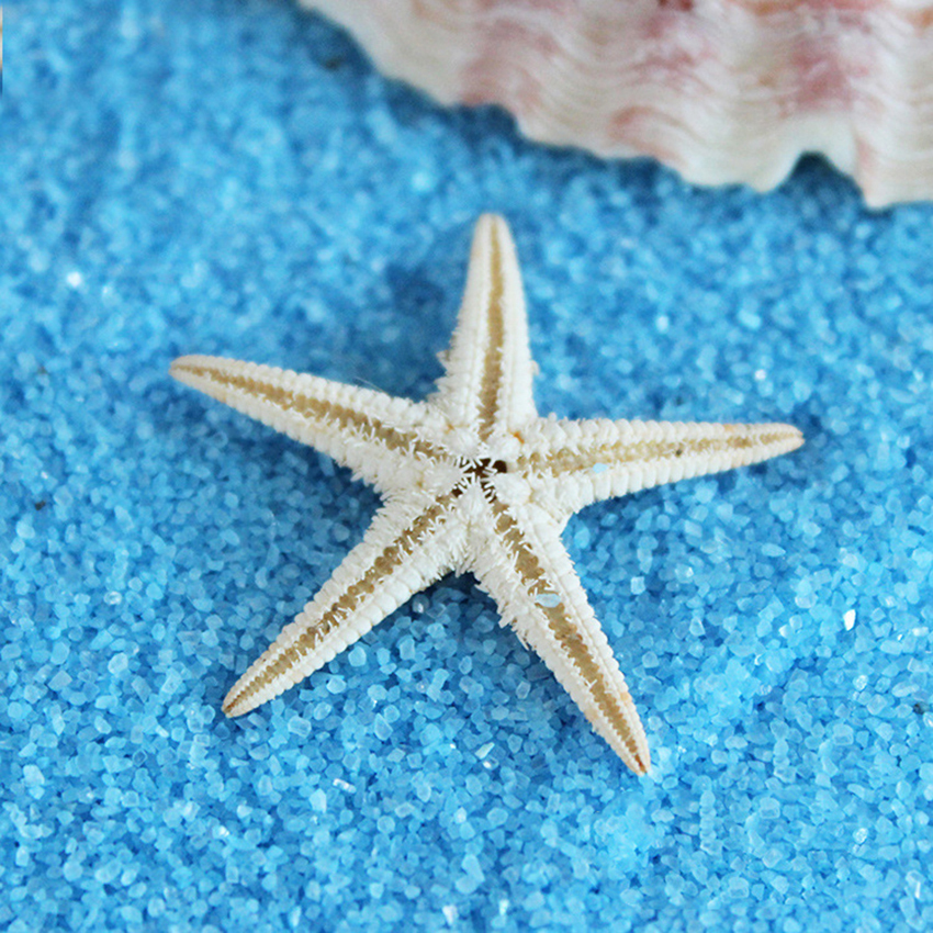 LA ESTRELLA DE MAR - Imagenes de Amor Bonitas