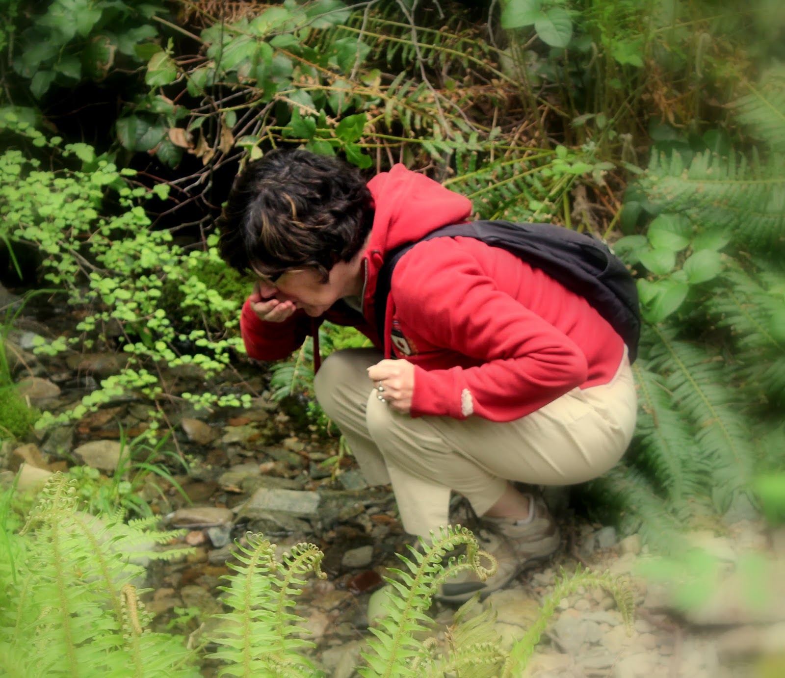 The Murray Chronicles : Hiking through Mt Taum Ecological Reserve