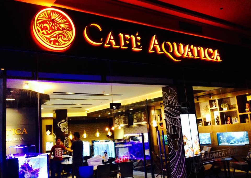 SOPHIEsticated: UNDER THE SEA WITH CAFE AQUATICA