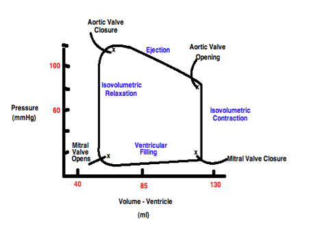 Medical MindMaps for USMLE Step 1: Cardiac Cycle