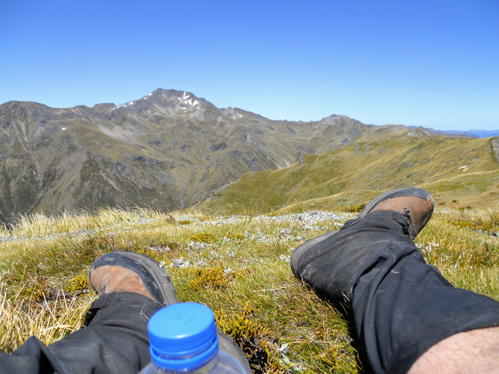 Tramping in the New Zealand backcountry: NZ Bush Adventures: My ...