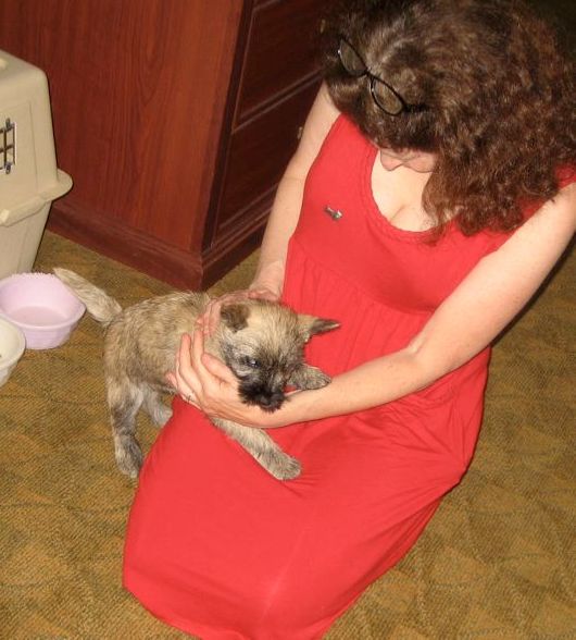 Holy Terrier Dog: Playing Catch-Up After Too-Long "Sabbatical"