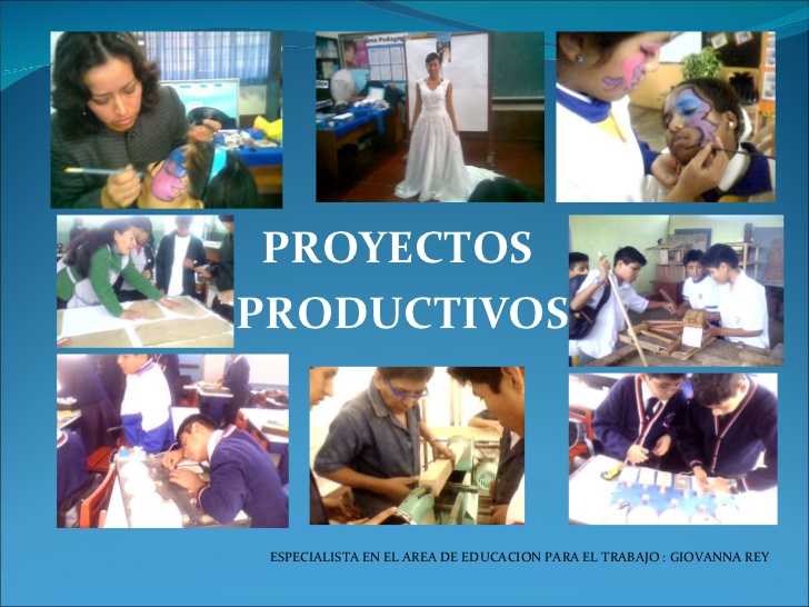 Proyectos productivos y educativos ~ Flor Risco Amaya