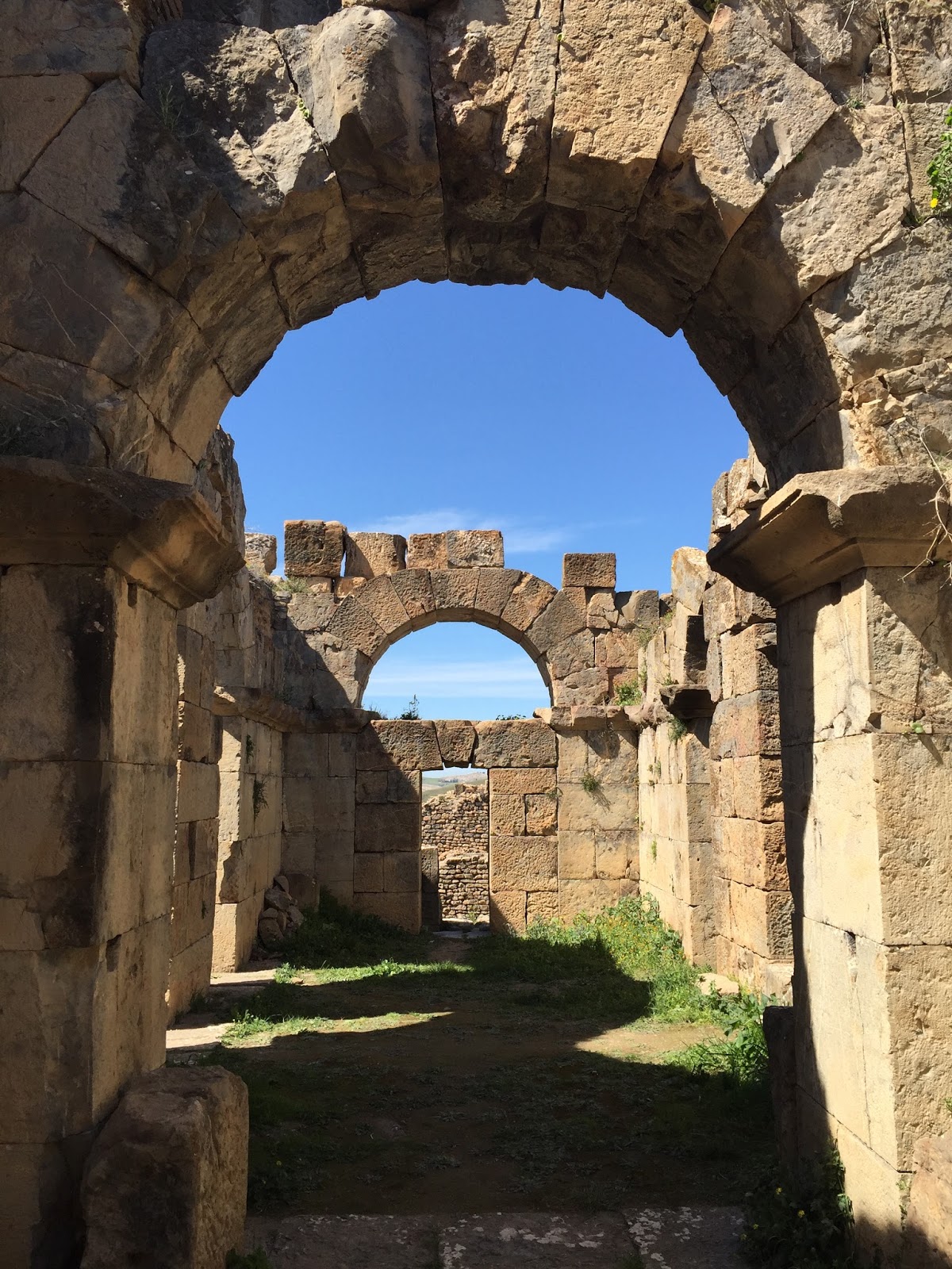 Tocho T8: Djemila (Cuicul, ciudad romana en Argelia), entre el comercio ...