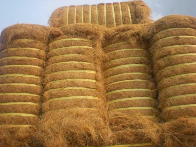 Suara Hati Nurani Anak Bangsa By: Frans Hero Kamsia Purba, B.Sc.Acct ...