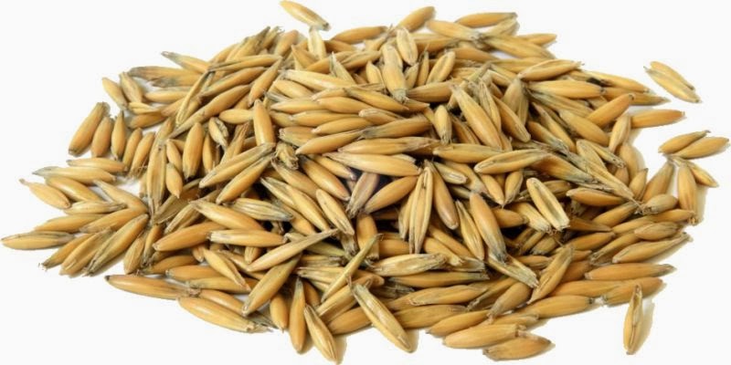 Sanătatea de Acasă! : Fiertura de ovăz în locul cafelei de dimineață