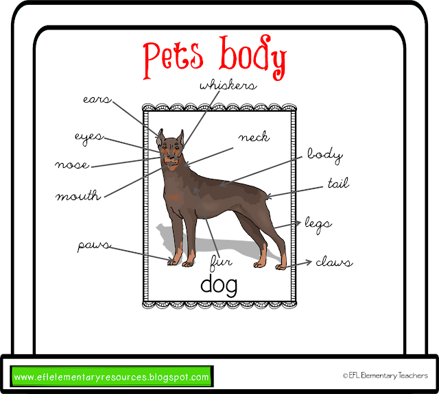 EFL Elementary Teachers: Pet theme for Elementary Language Learners