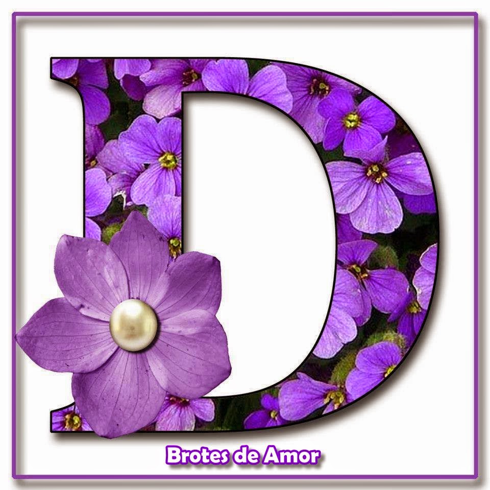 Brotes de Amor: Abecedario en hermosas violetas