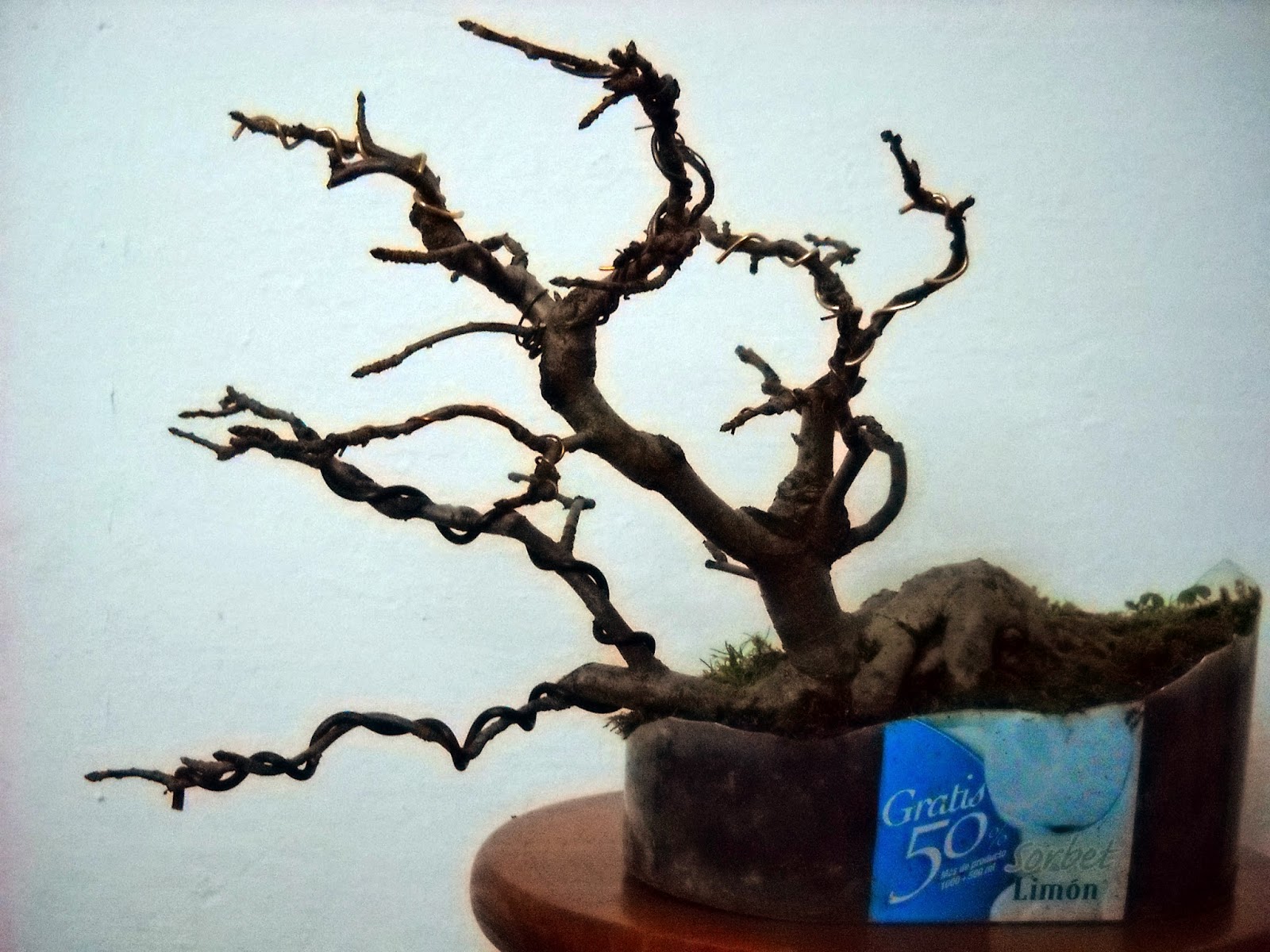 Chián bonsai: Manzano común