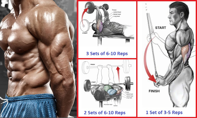 A Powerful Tricep Routine For Stimulating Growth Bodydulding