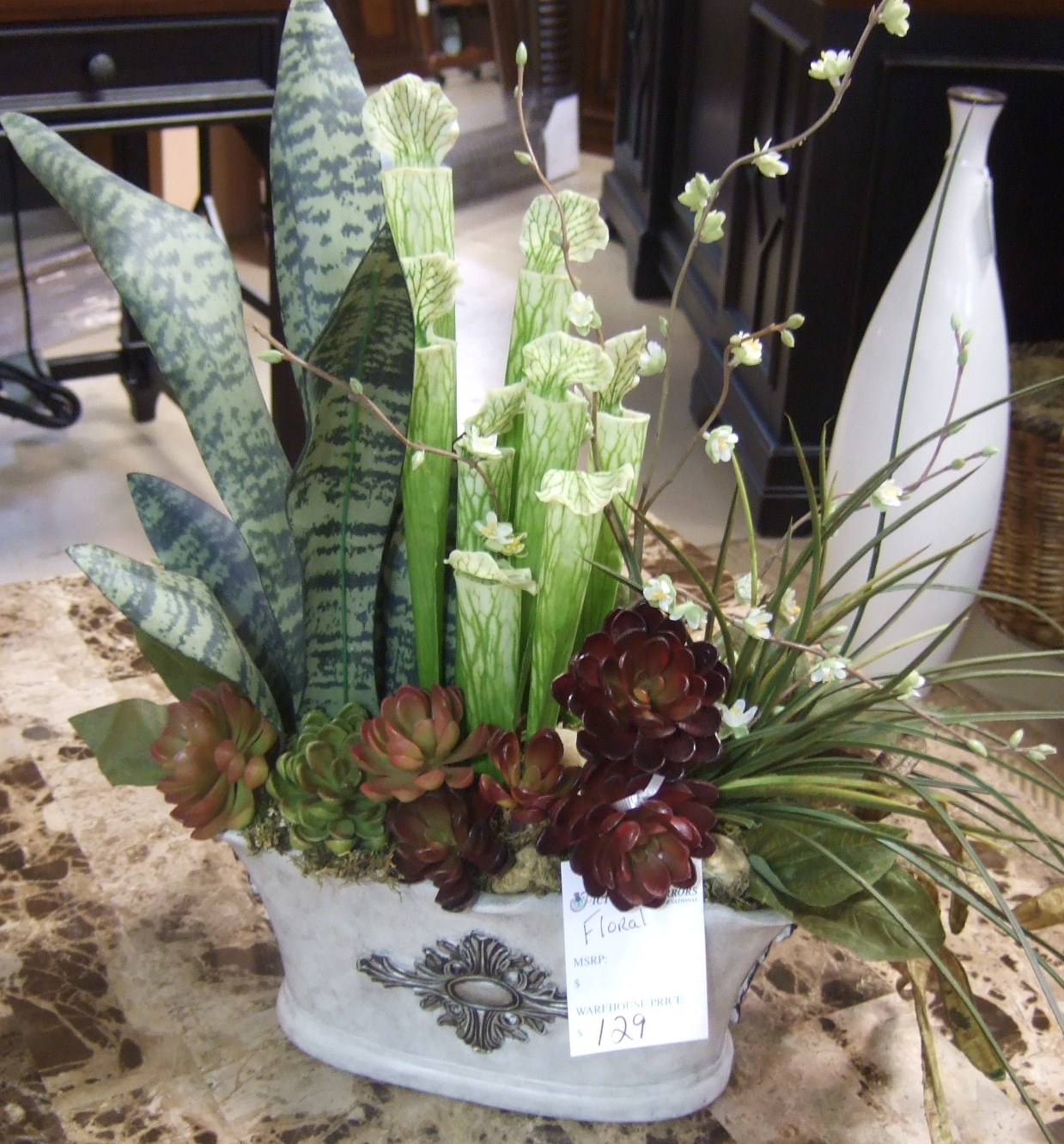 AnaSilkFlowers: Images!!!...Greenerys, Ferns and Plants!!!