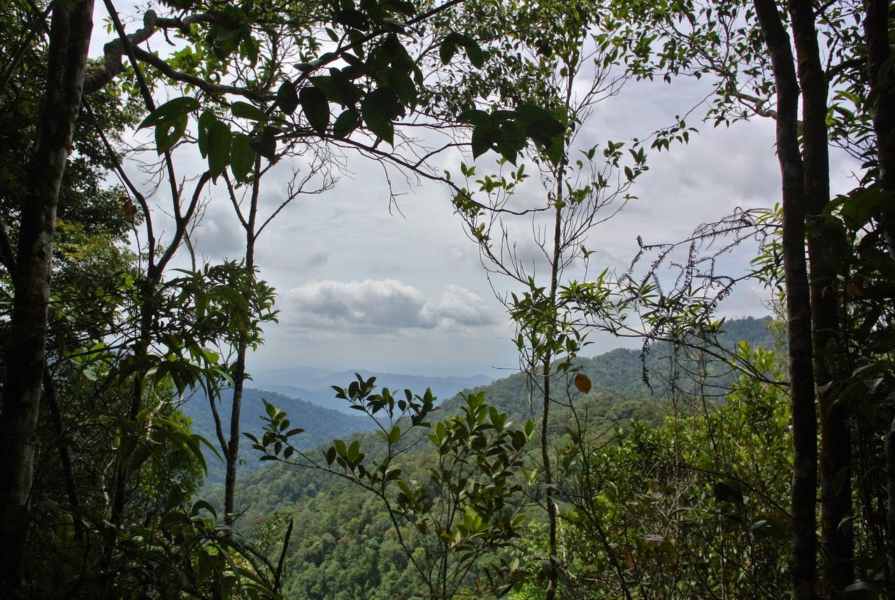afifplc: Gunung Ulu Semangkok climb