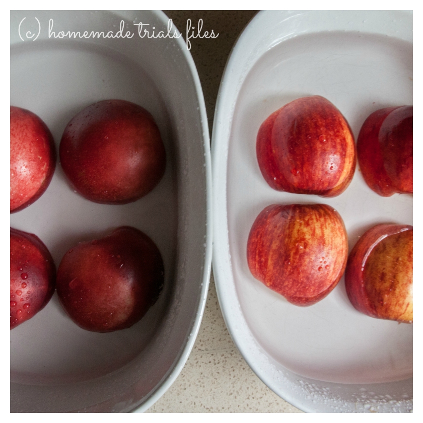 My Homemade Trials Files: {Basic Fruit Purée}