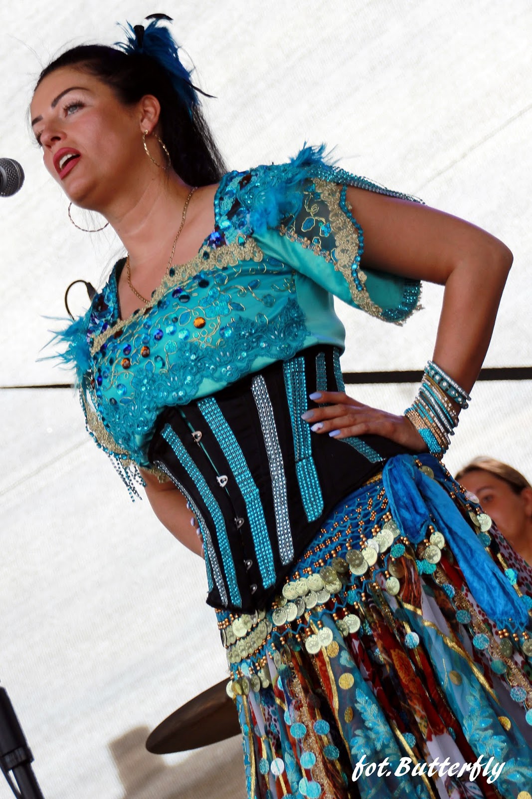 Foto Blue Butterfly: DON WASYL