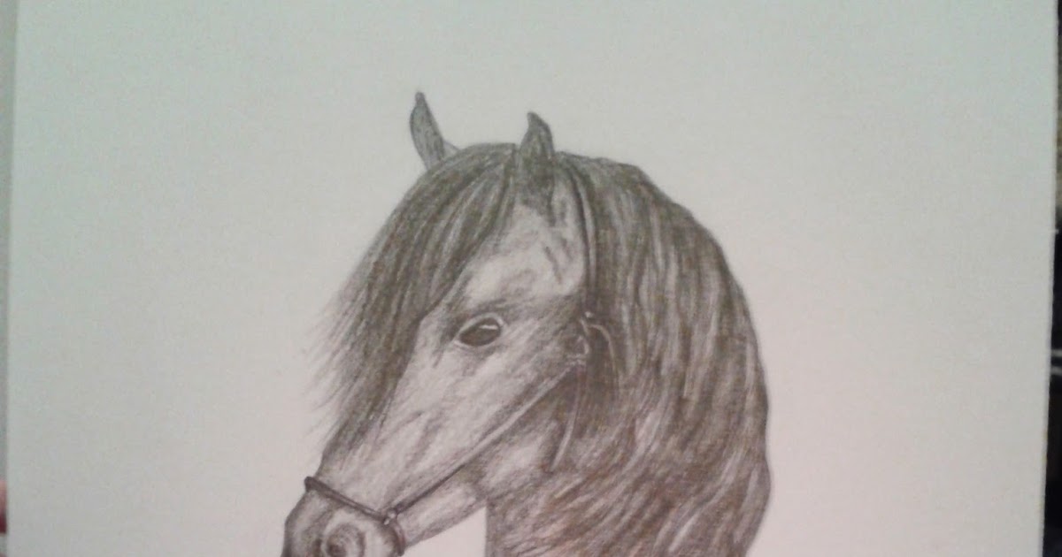 Pictura si grafica de pictor Mihaela Grosan: Cal negru - desen in ...