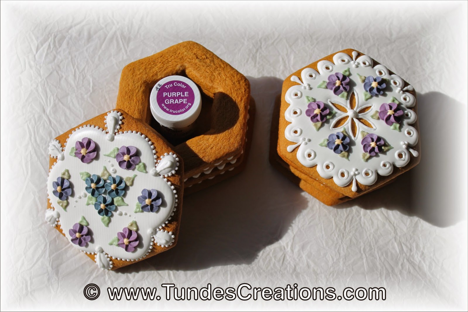 The Gingerbread Artist: Cookie Decorating with TruColor Natural Food ...