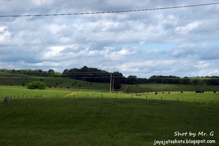 Joy's Jots, Shots & Whatnots: Sun Best ~ Beauty of Barren County