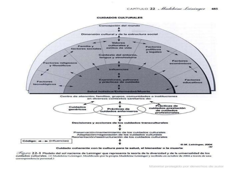 Madeleine Leininger: Modelo del Sol Naciente