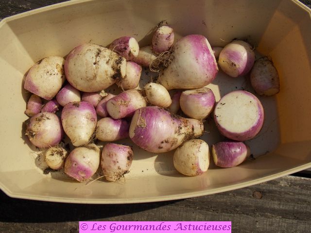 Mini-navets, épinards d'Asie, fleurs de choux et asperges, pour une ...