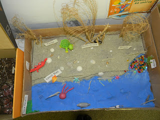 Middle School Science