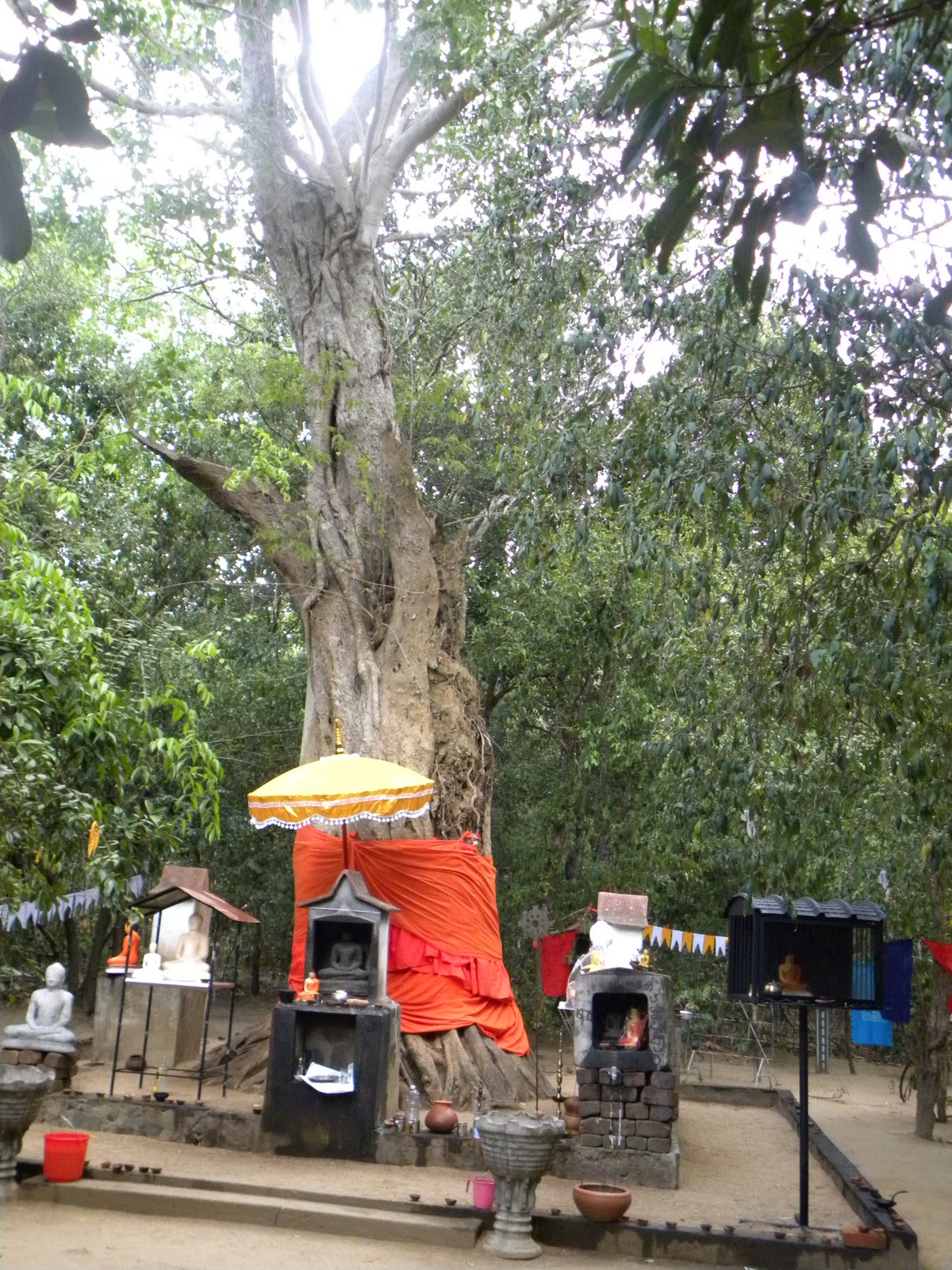 Visit Sri Lanka නරඹමු ශ්‍රී ලංකා: Visit the Ancient and Mysterious ...