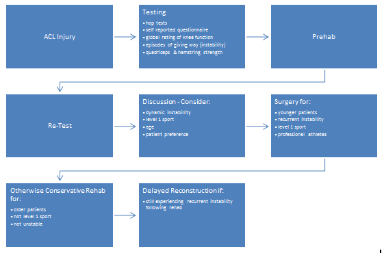Sports Physiotherapy : Anterior Cruciate Ligments (ACLs)