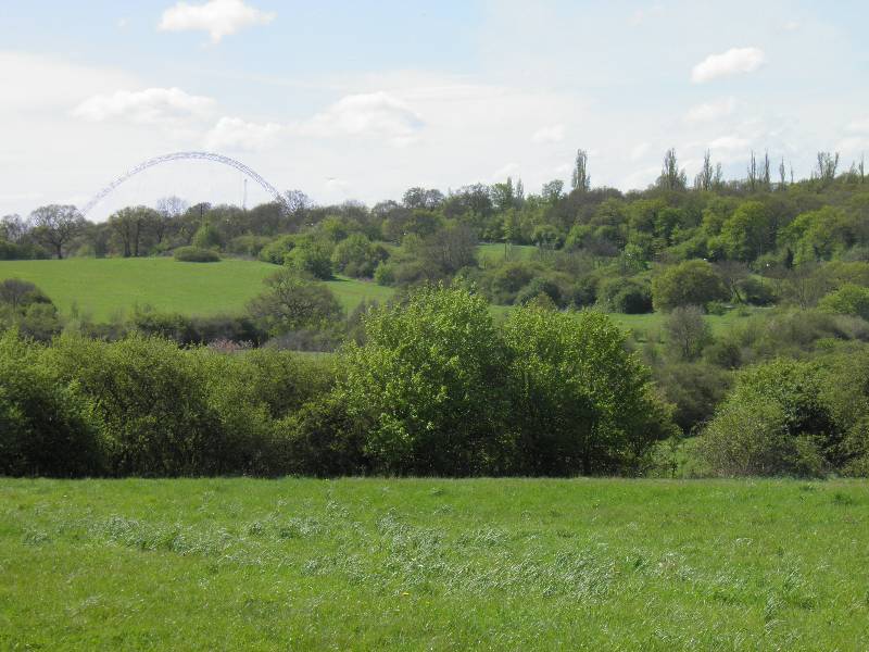 London buses one bus at a time: the return: Routes PR1/PR2 (NOT)