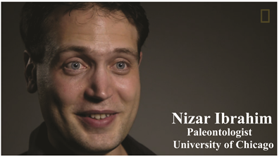 Moroccan YES Network: Discovery of Spinosaurus in the Moroccan Sahara - Interview with Nizar Ibrahim