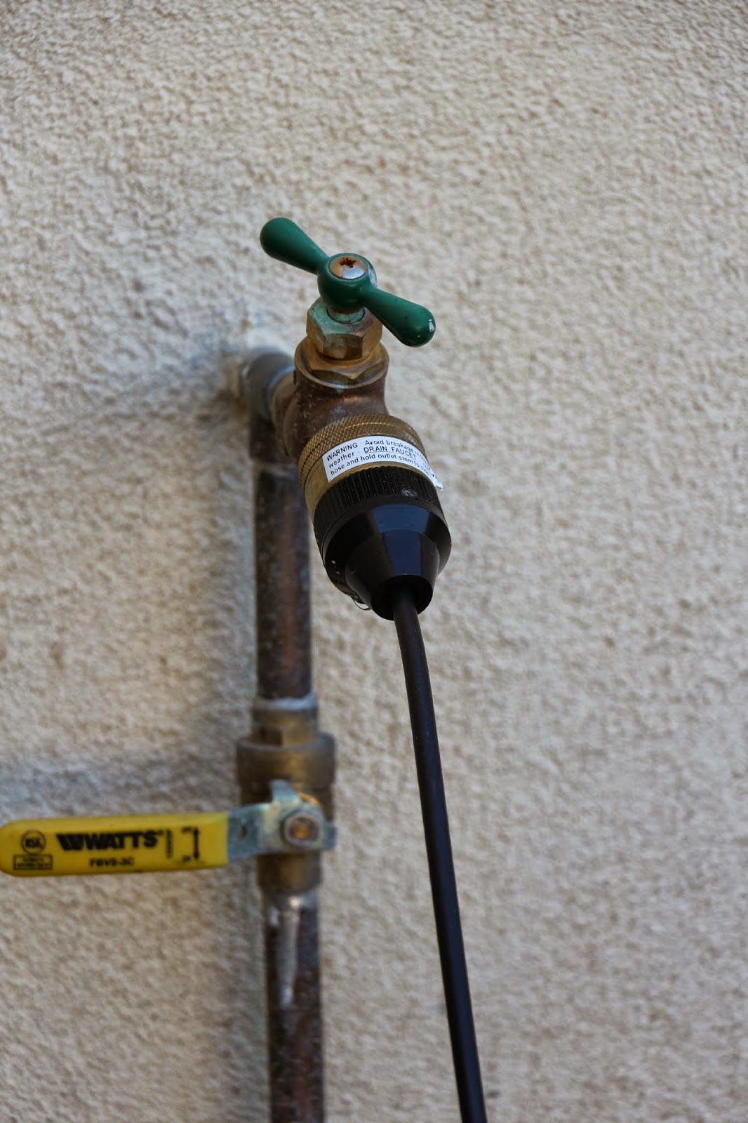 Dusty Coyote: Fountain