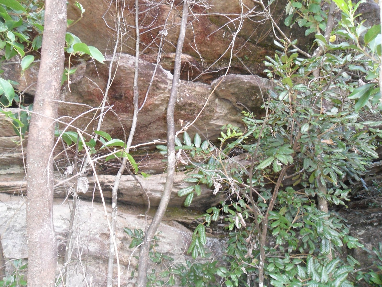 Maravilhas de Pirai do Sul