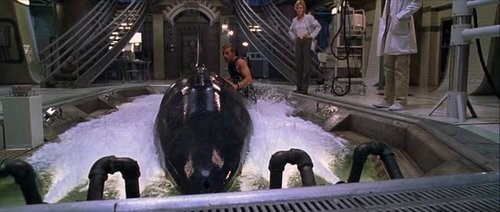 Deep Blue Sea 1999 Sharks