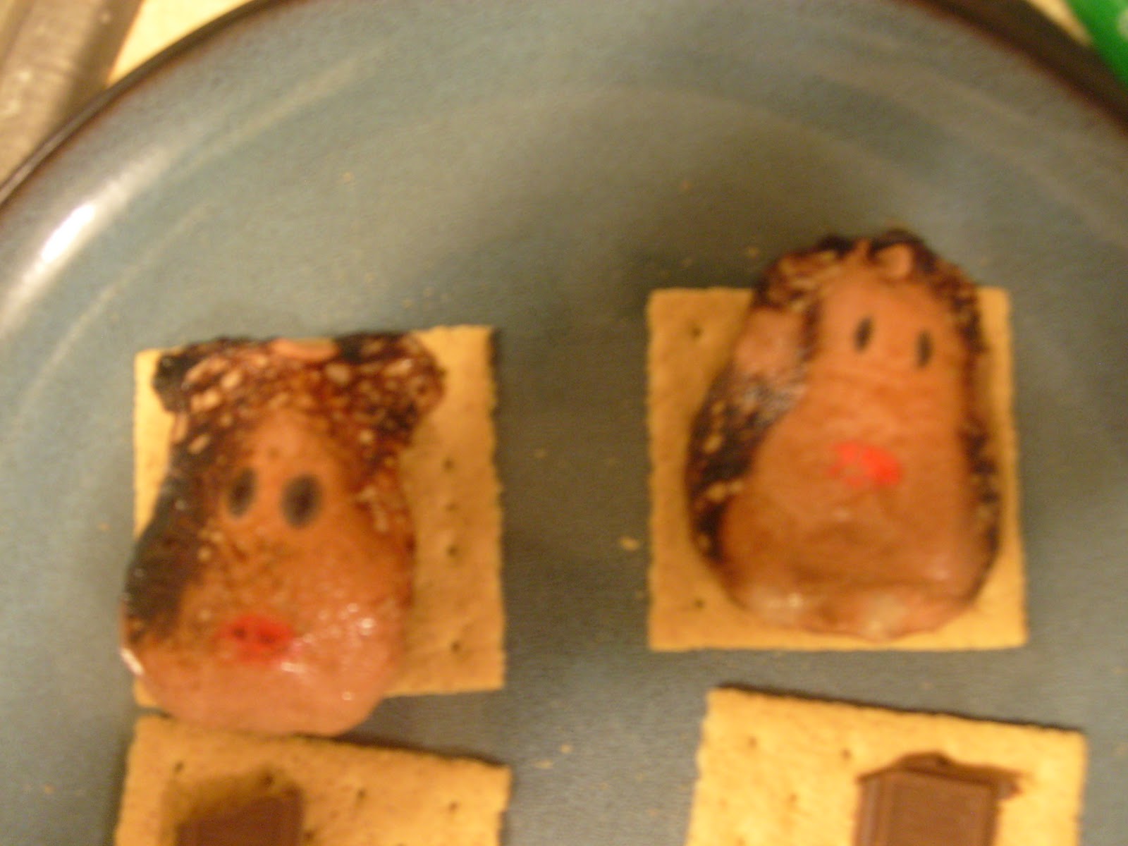 Simple Savory & Satisfying: Christmas Peep S'mores