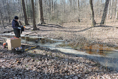 Capital Naturalist by Alonso Abugattas: Vernal Pools