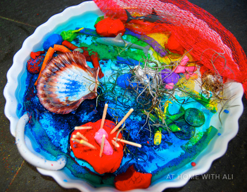 At home with Ali: A miniature rock pool