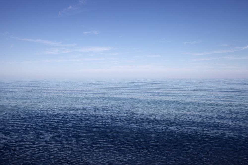 Clean Ocean Action: OCEAN WATCH - WEEK 1