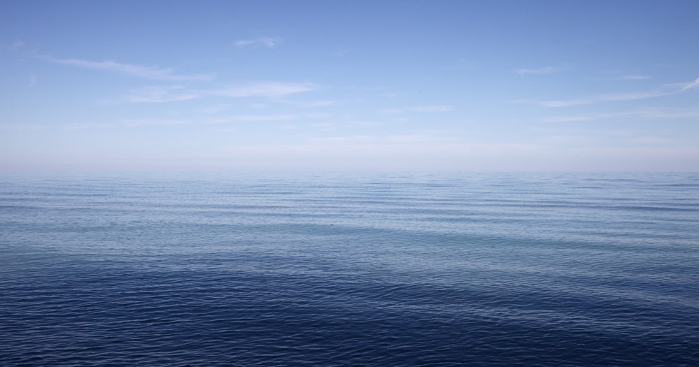 Clean Ocean Action: OCEAN WATCH - WEEK 1