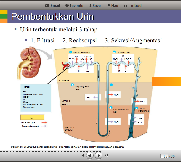 Regular B2 2012: GINJAL II (SEKRESI, EKSRESI DAN MIKSI)