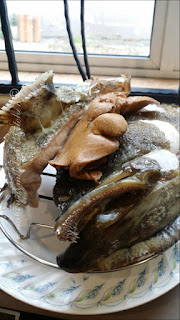 Warm Delights Kitchen: Mum's Signature Steamed Fish Head with brand's