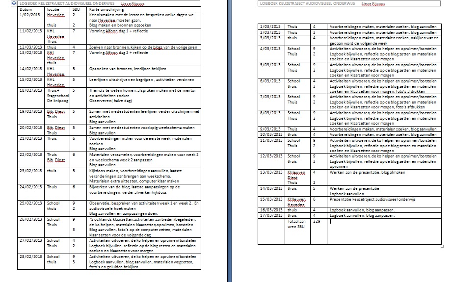 Mijn blog : audiovisueel werken in de kleuterklas: Evaluatiedag en logboek