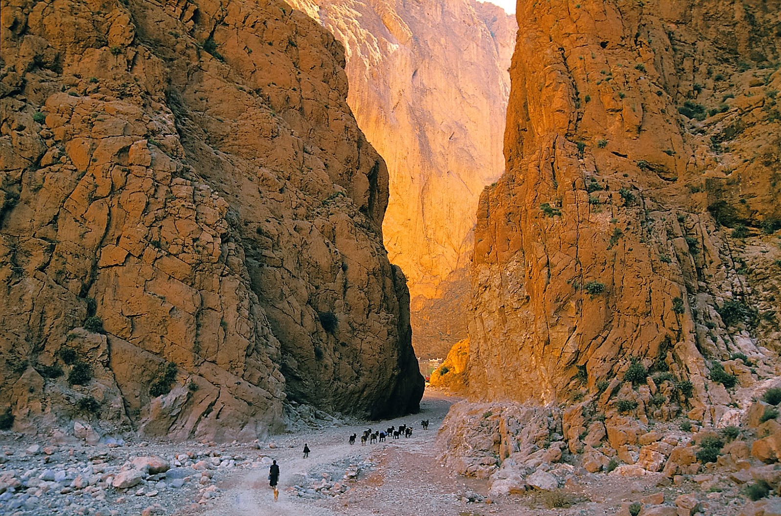 5-five-5: Todgha Gorge (Morocco)