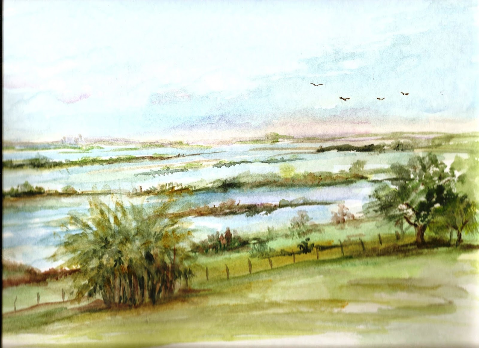 LA MAGIA DEL COLOR: A ORILLAS DEL RIO PARANA