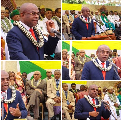 Flore de doderlein absente - edod81mouchoo