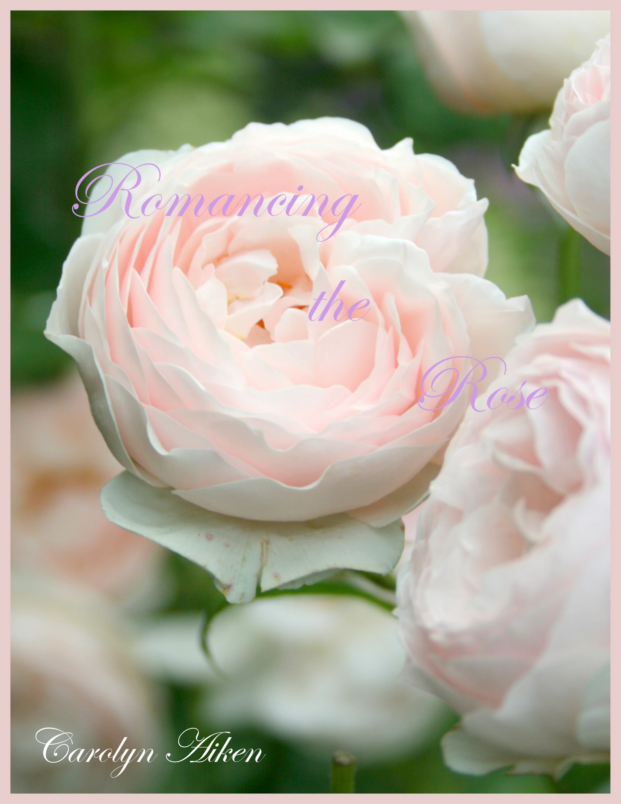 Aiken House & Gardens: Soft & Romantic