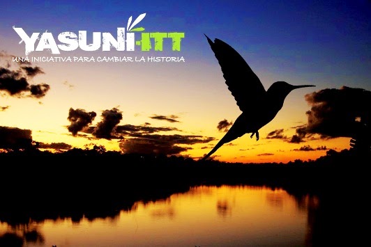 YASUNI : Parque Nacional Yasuní, su flora, fauna y datos importantes