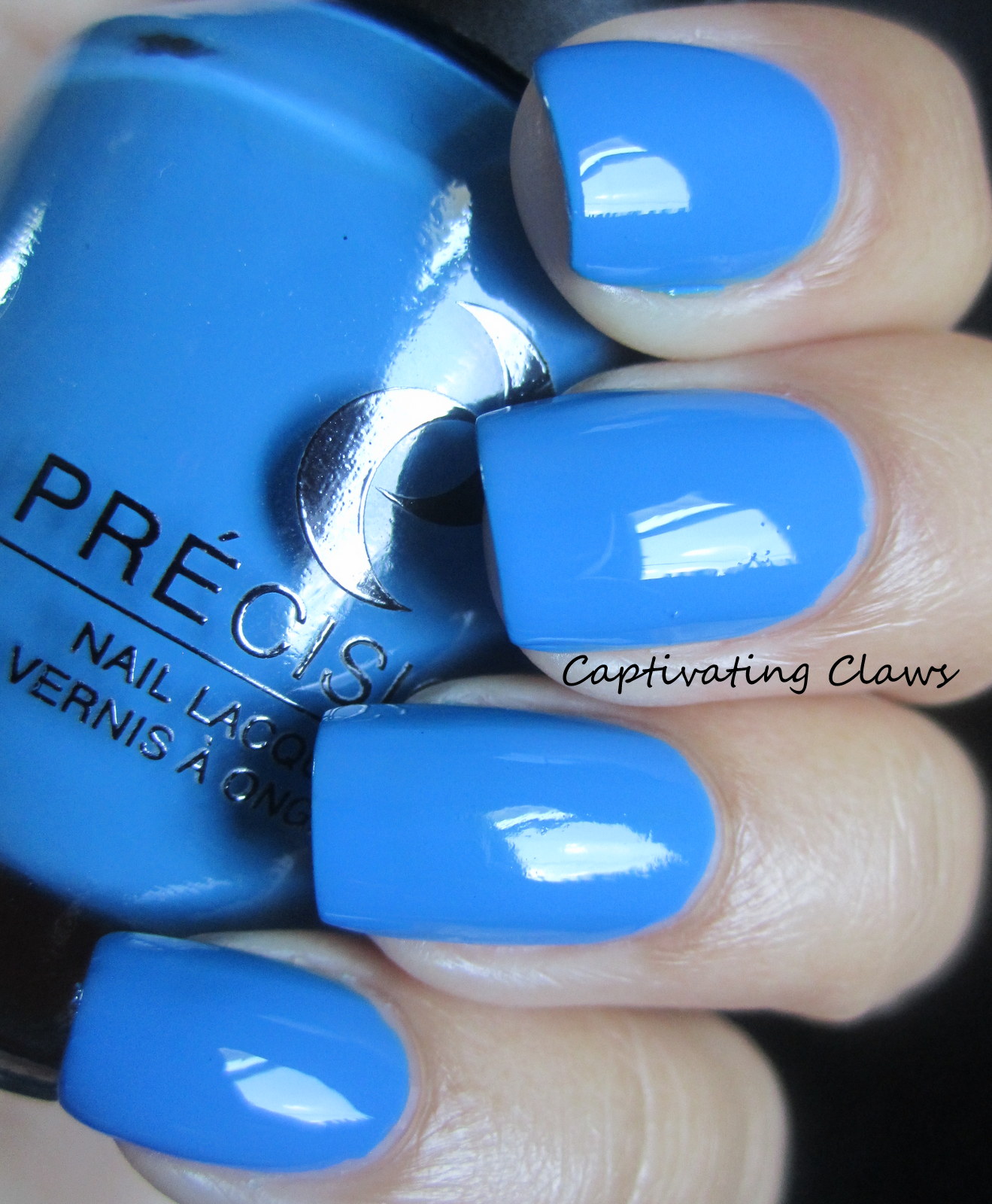 Captivating Claws: Precision Nail Lacquer- The Dreamy Collection